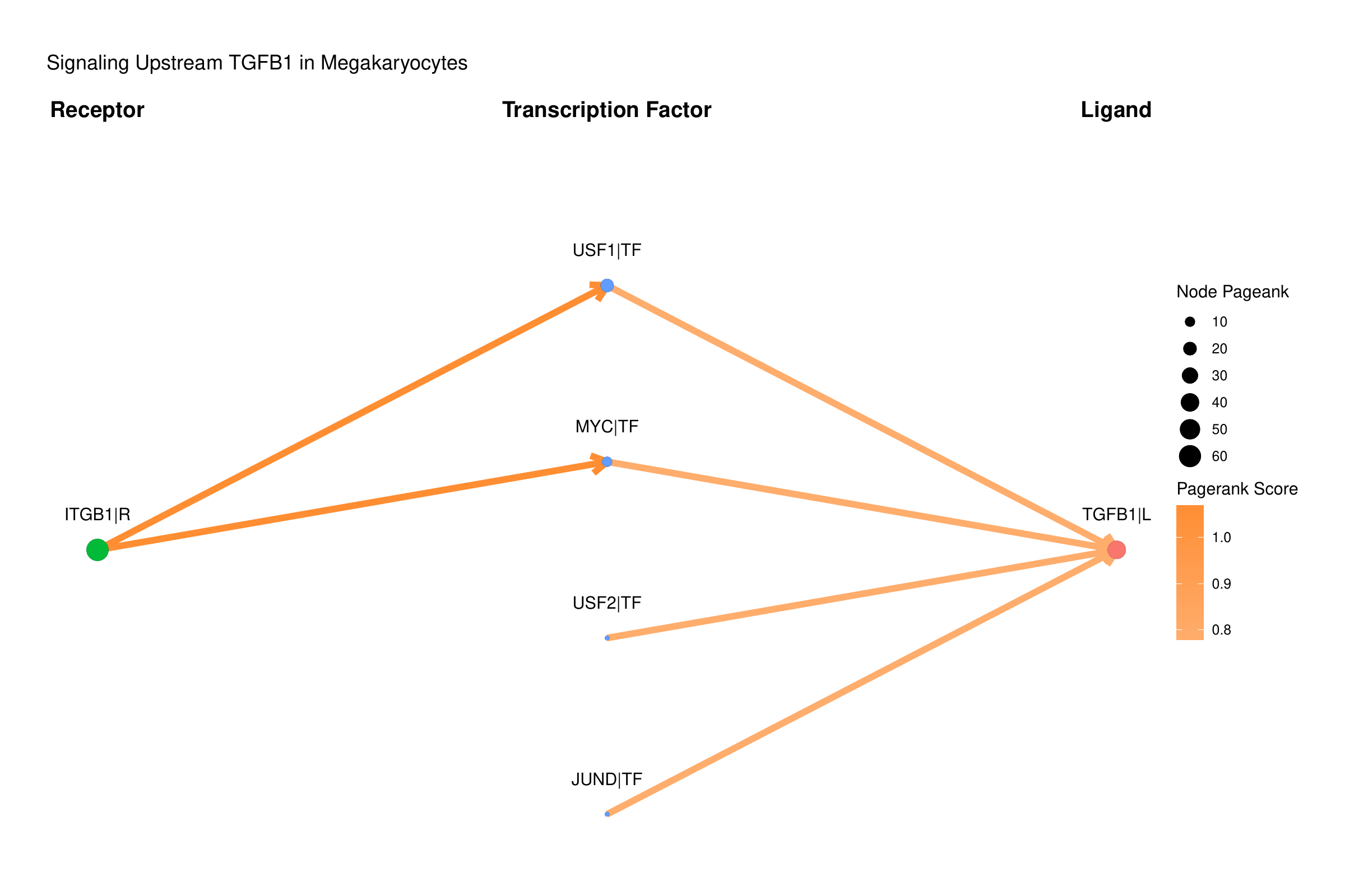 Intracellular Communication Analysis • CrossTalkeR